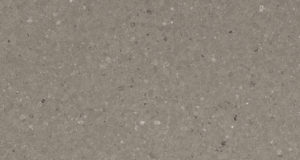 Shitake : 4230 – Moore Stone, Inc.
